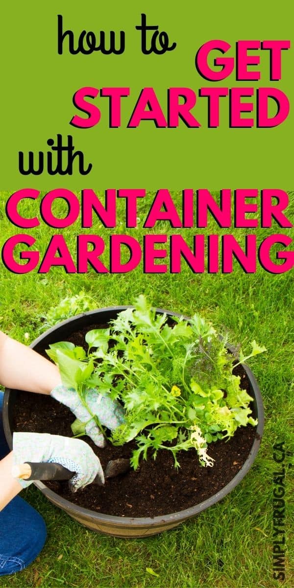 7 Steps to Easily Get Started Container Gardening