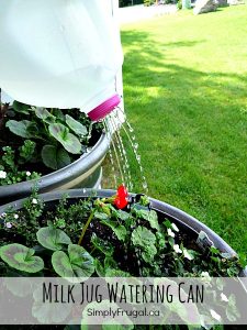 How to Make a Milk Jug Watering Can