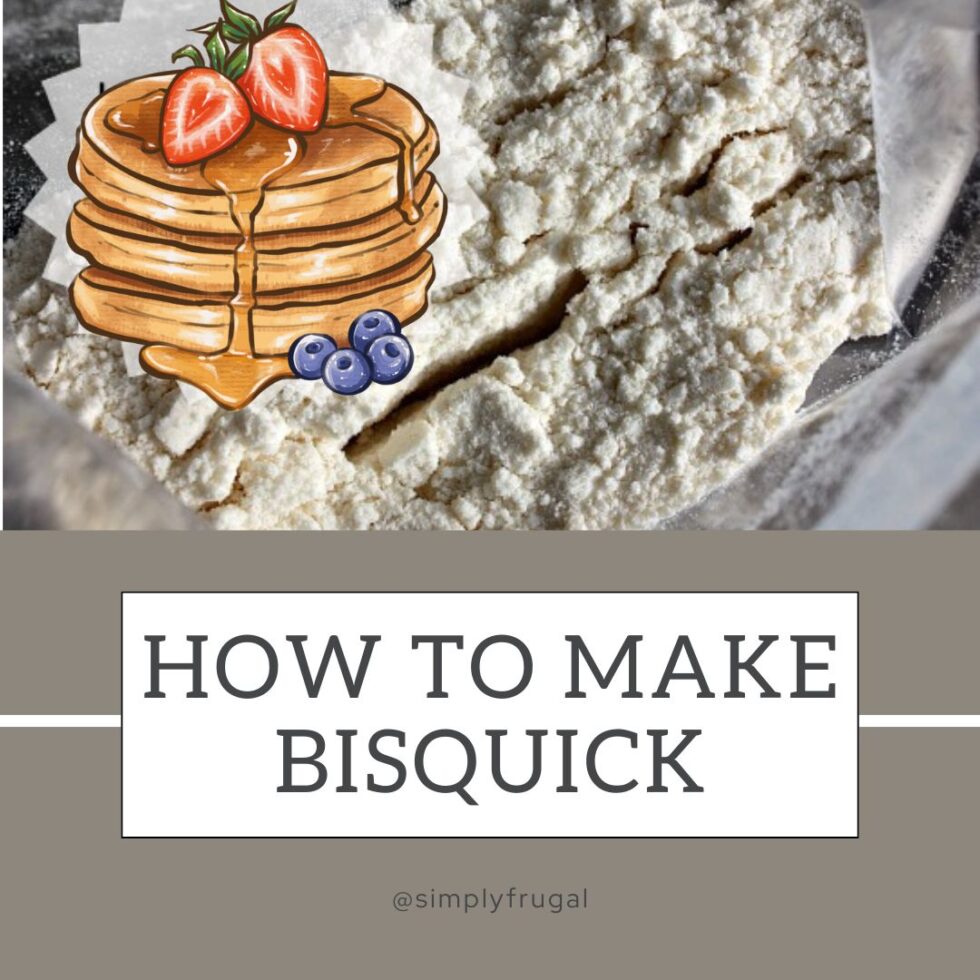 Homemade Baking Mix (Bisquick)